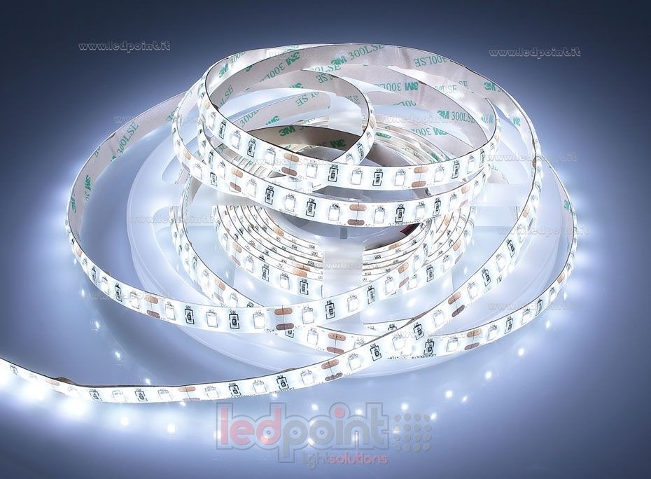 Ledpoint S.r.l. | Tira de led 5m blanco frío 6000-6500K 2835 60led/m ...